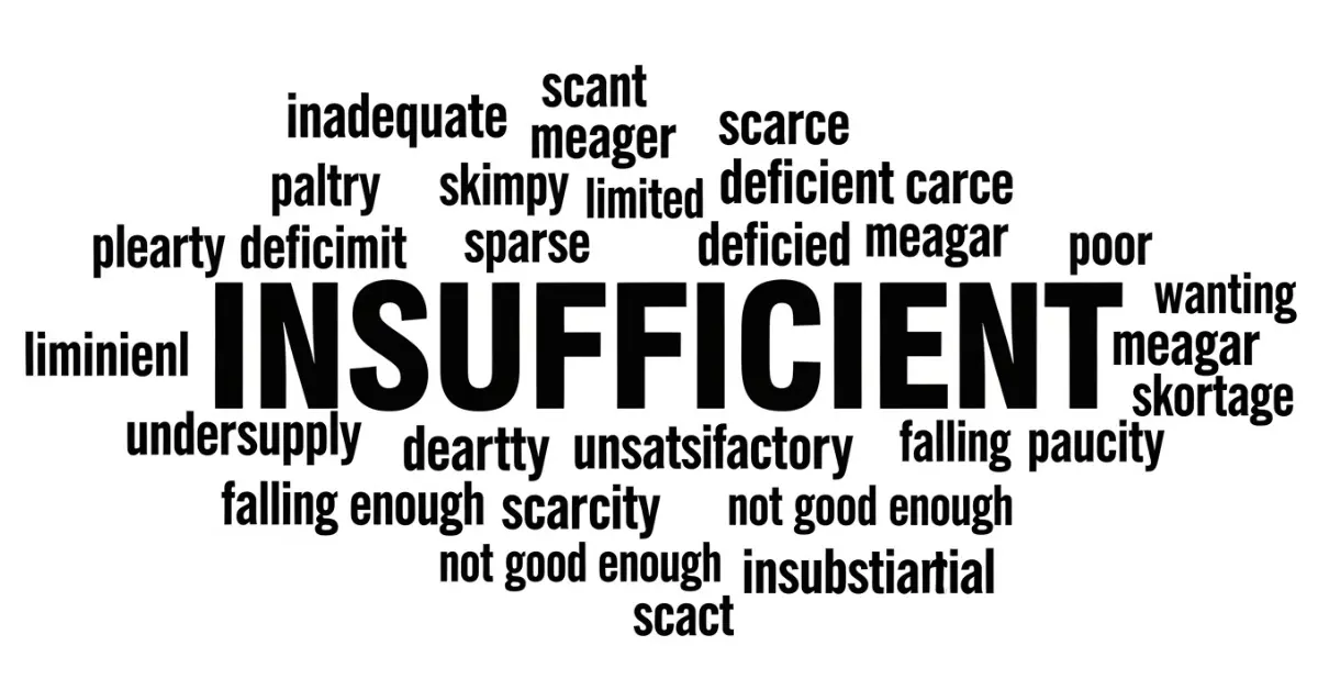 Not Enough: 50 Simple Synonyms of Insufficient